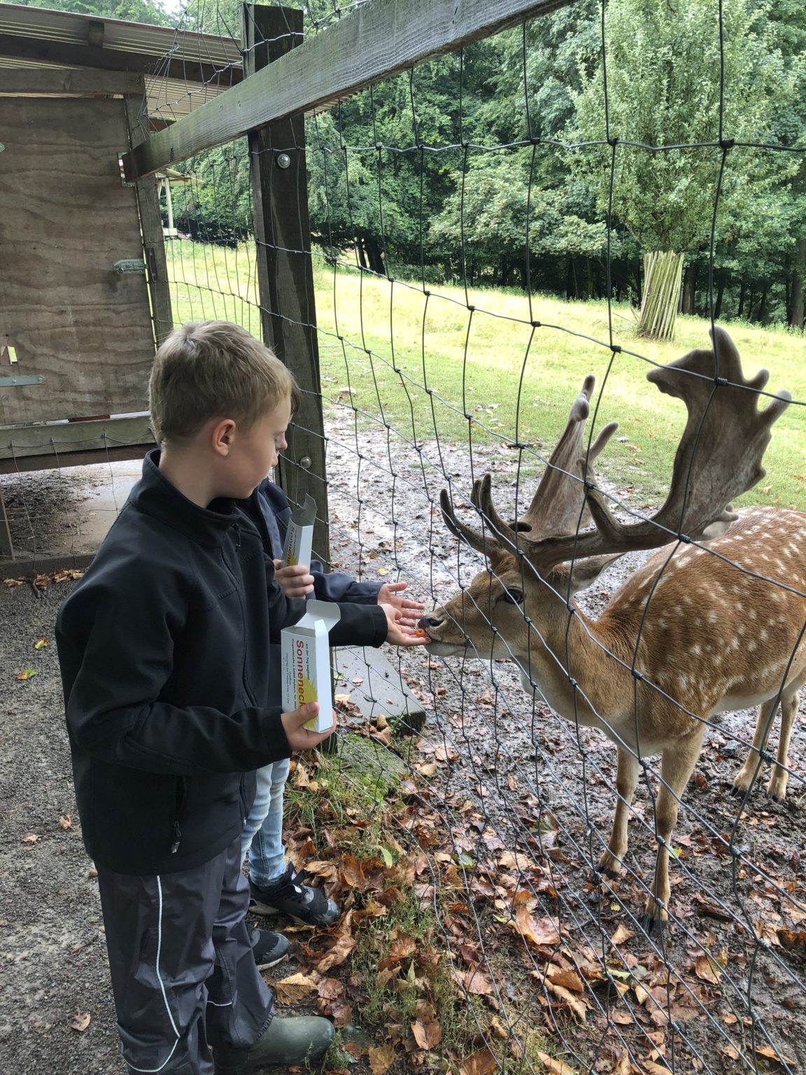 Hortausflug in den Wildpark – Kinderhaus St. Johannes