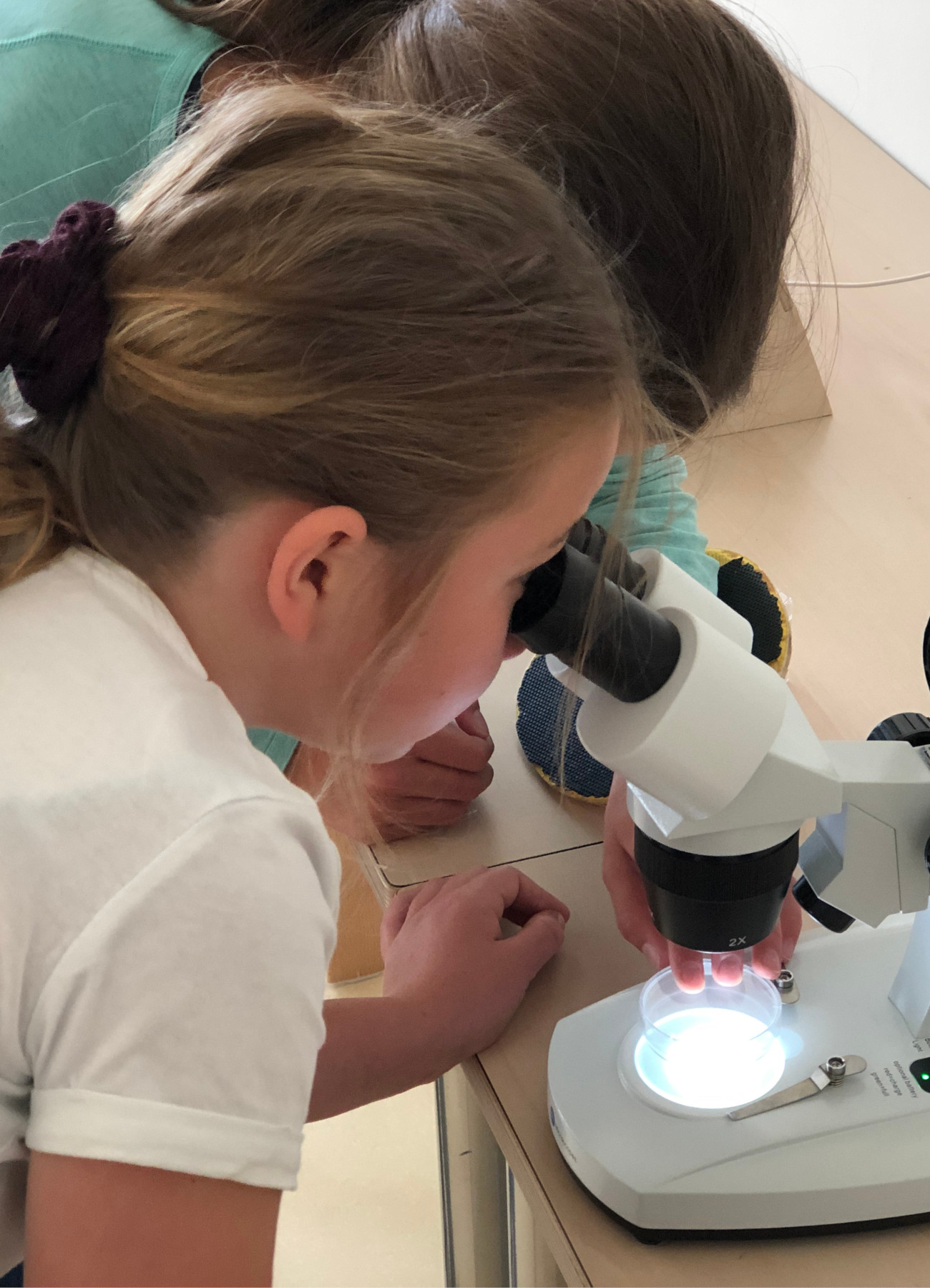 Regenbogen weben im Hort – Kinderhaus St. Johannes